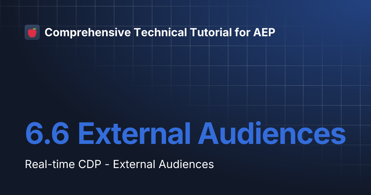 6.6 External Audiences | Comprehensive Technical Tutorial for AEP